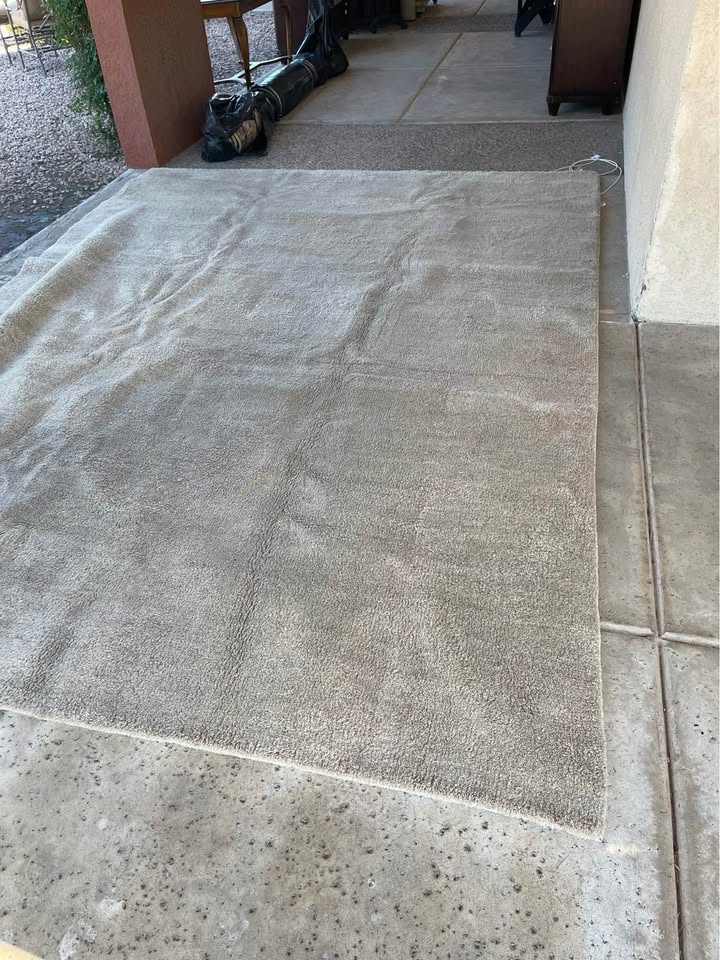 Restoration Hardware Rug - Got Legs Furniture & Décor